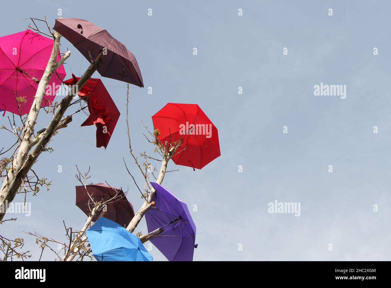 A view of the umbrellas Stock Photo - Alamy