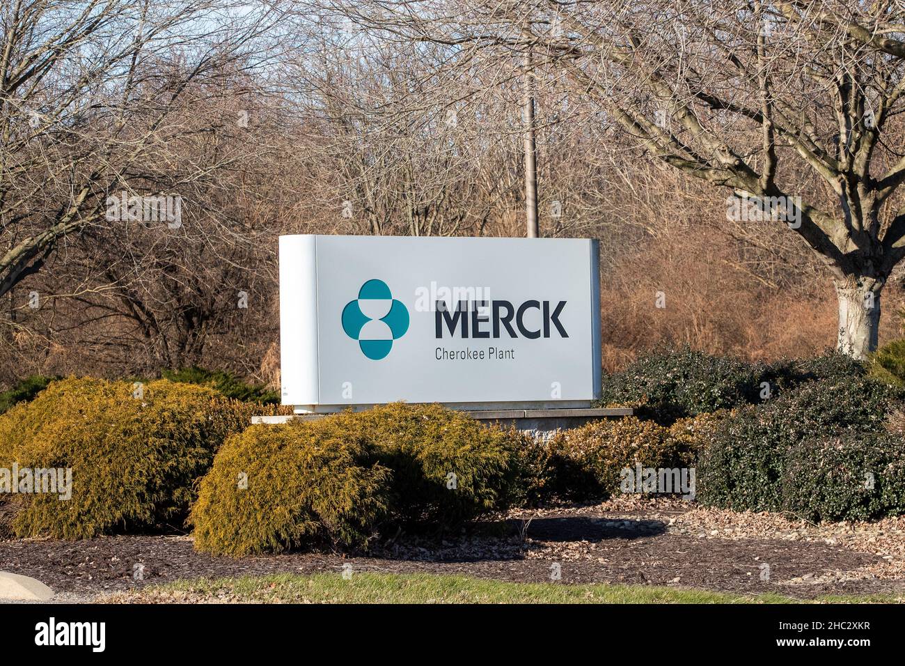 Viral s logo hi-res stock photography and images - Alamy