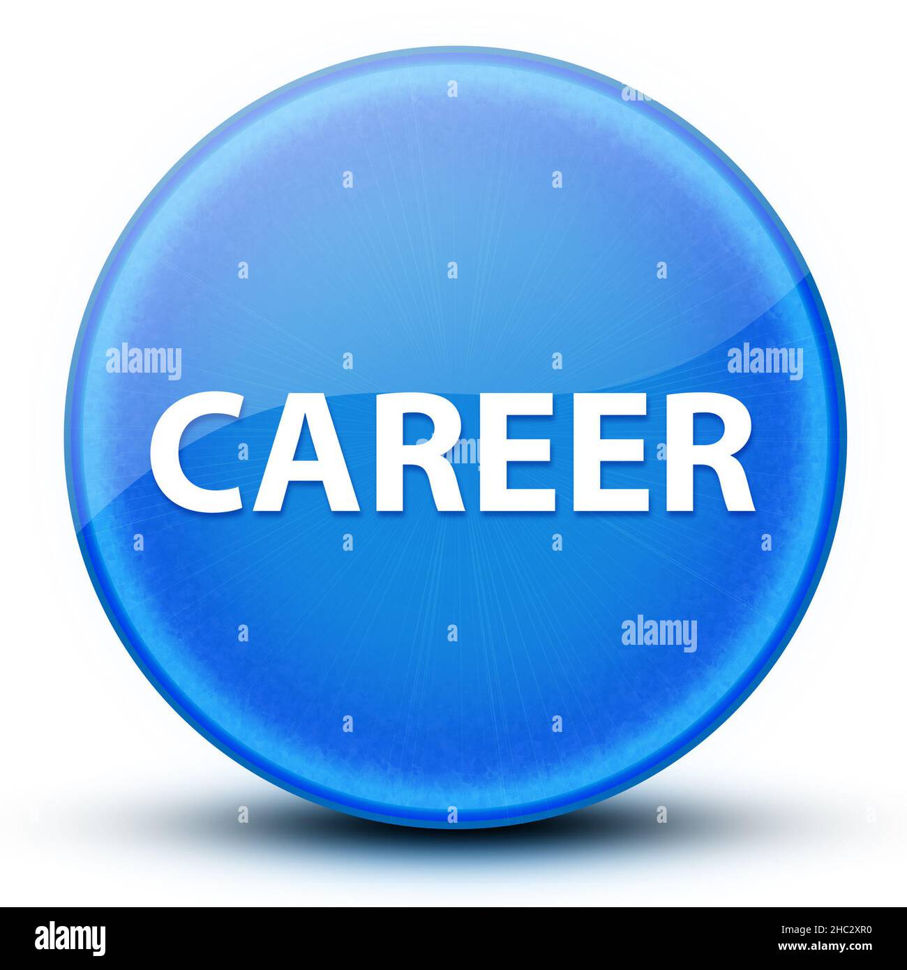Career eyeball glossy elegant blue round button abstract illustration ...