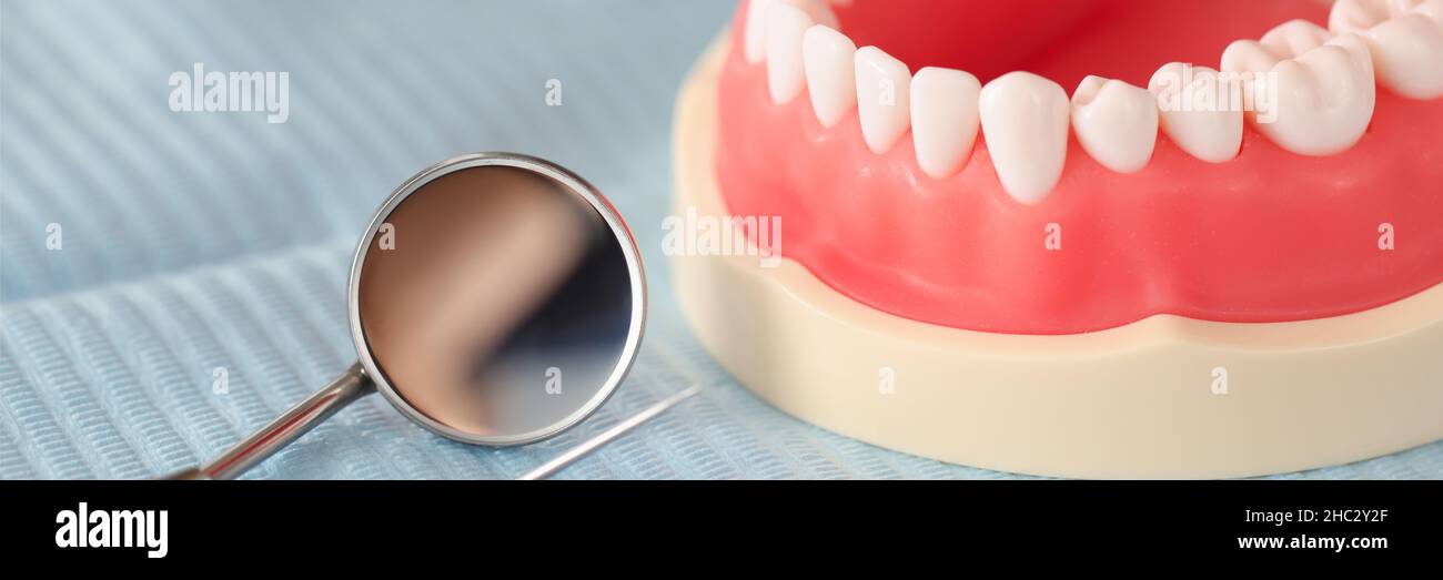 Dental artificial jaw and dental instrument on table closeup Stock ...