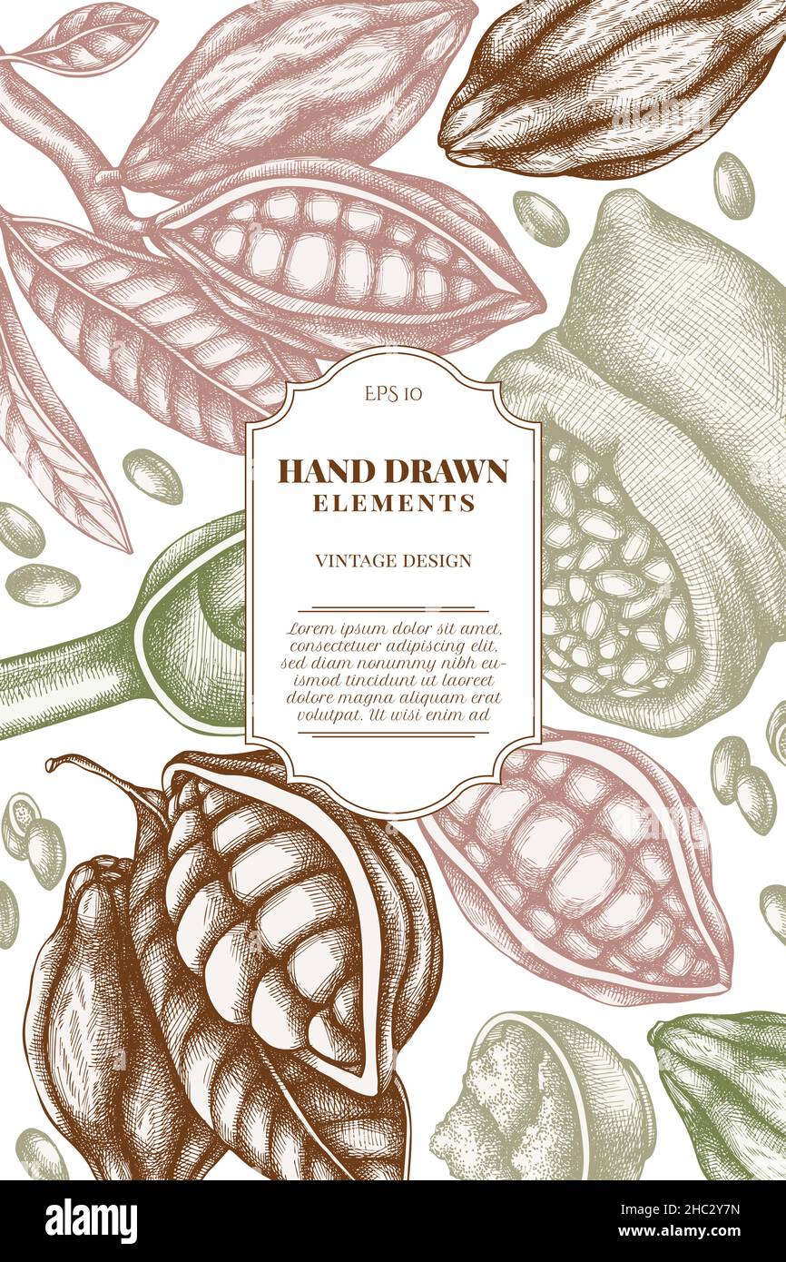 Card design with pastel cocoa beans, cocoa Stock Vector Image & Art - Alamy