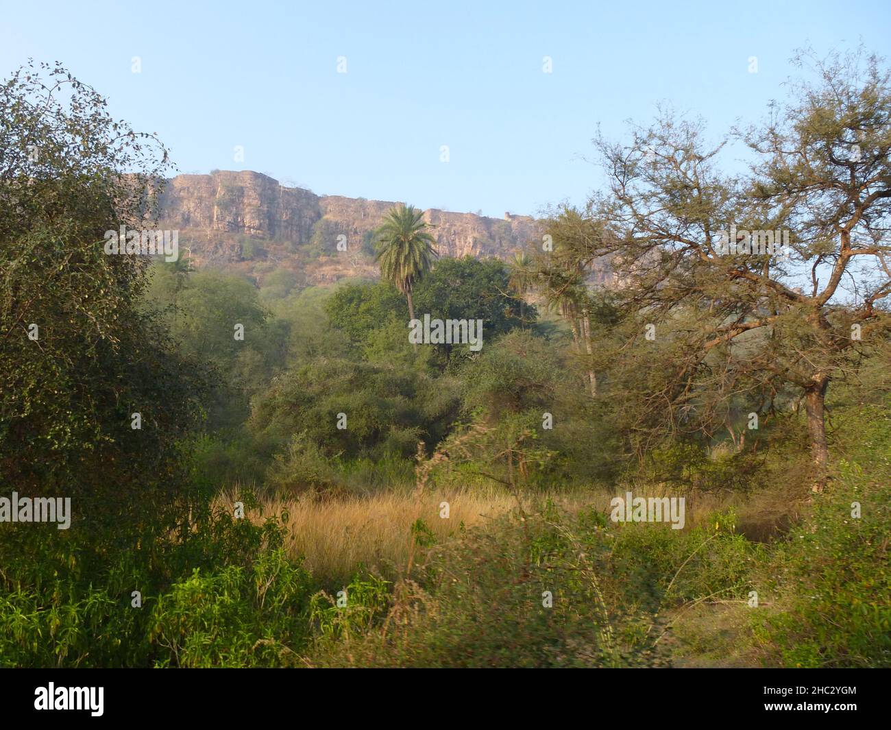 Ranthambhore national reserve hi-res stock photography and images - Alamy