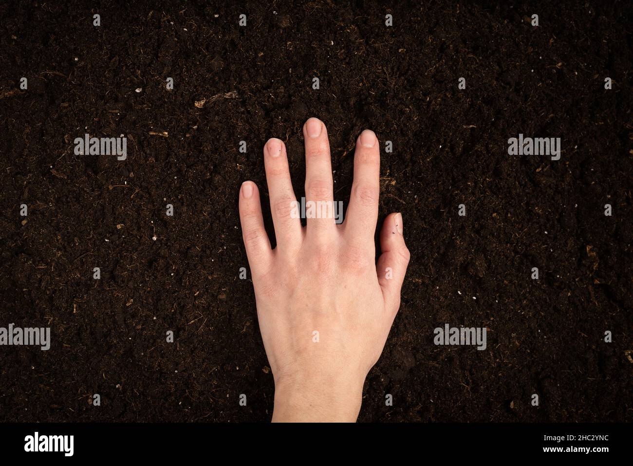 Woman hand holding ground. Top view Stock Photo - Alamy