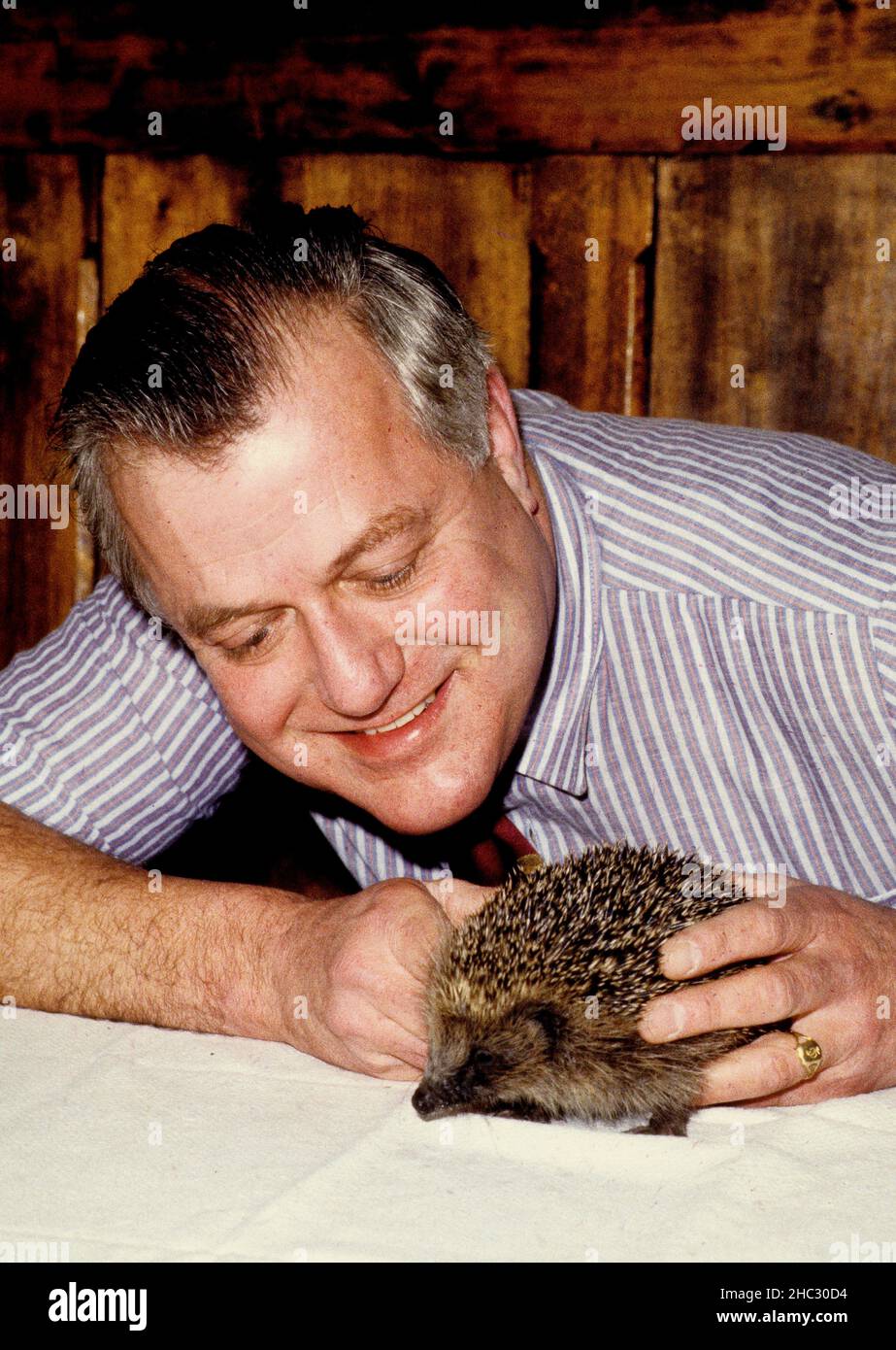 Major Adrian Coles with a young rescued hedgehog Stock Photo - Alamy