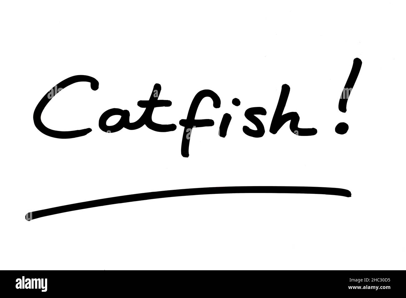 Catfish! handwritten on a white background Stock Photo - Alamy
