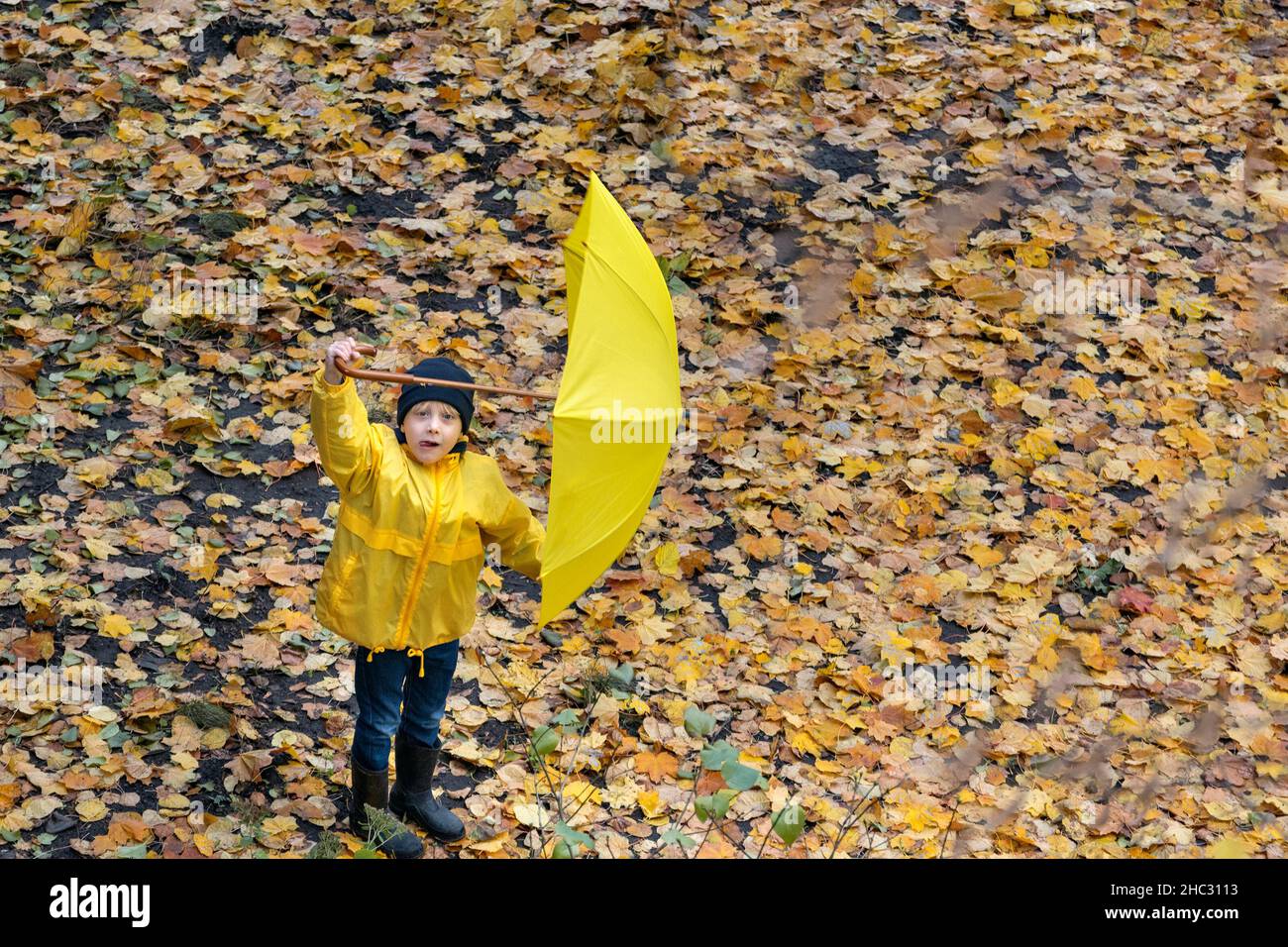 Child raised the umbrella over his head. Portrait of child in the ...