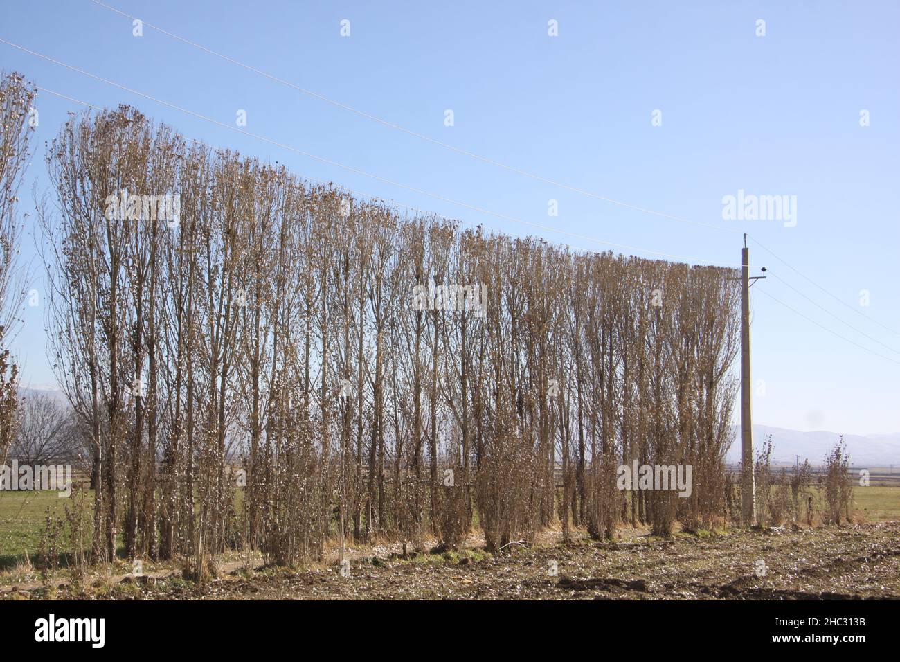 Harm to the environment hi-res stock photography and images - Alamy