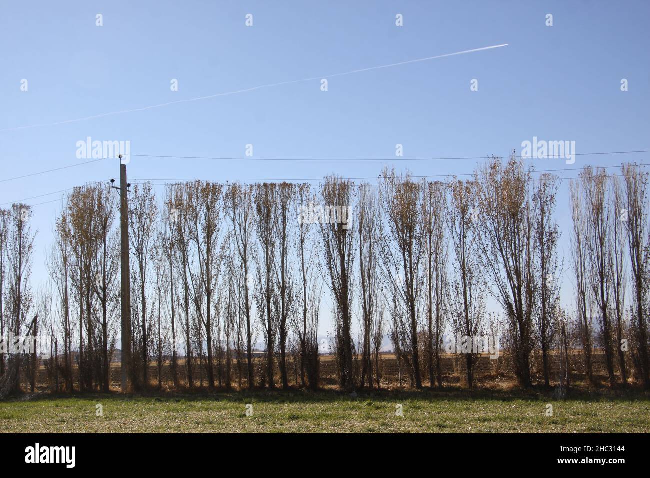 Harm to the environment hi-res stock photography and images - Alamy