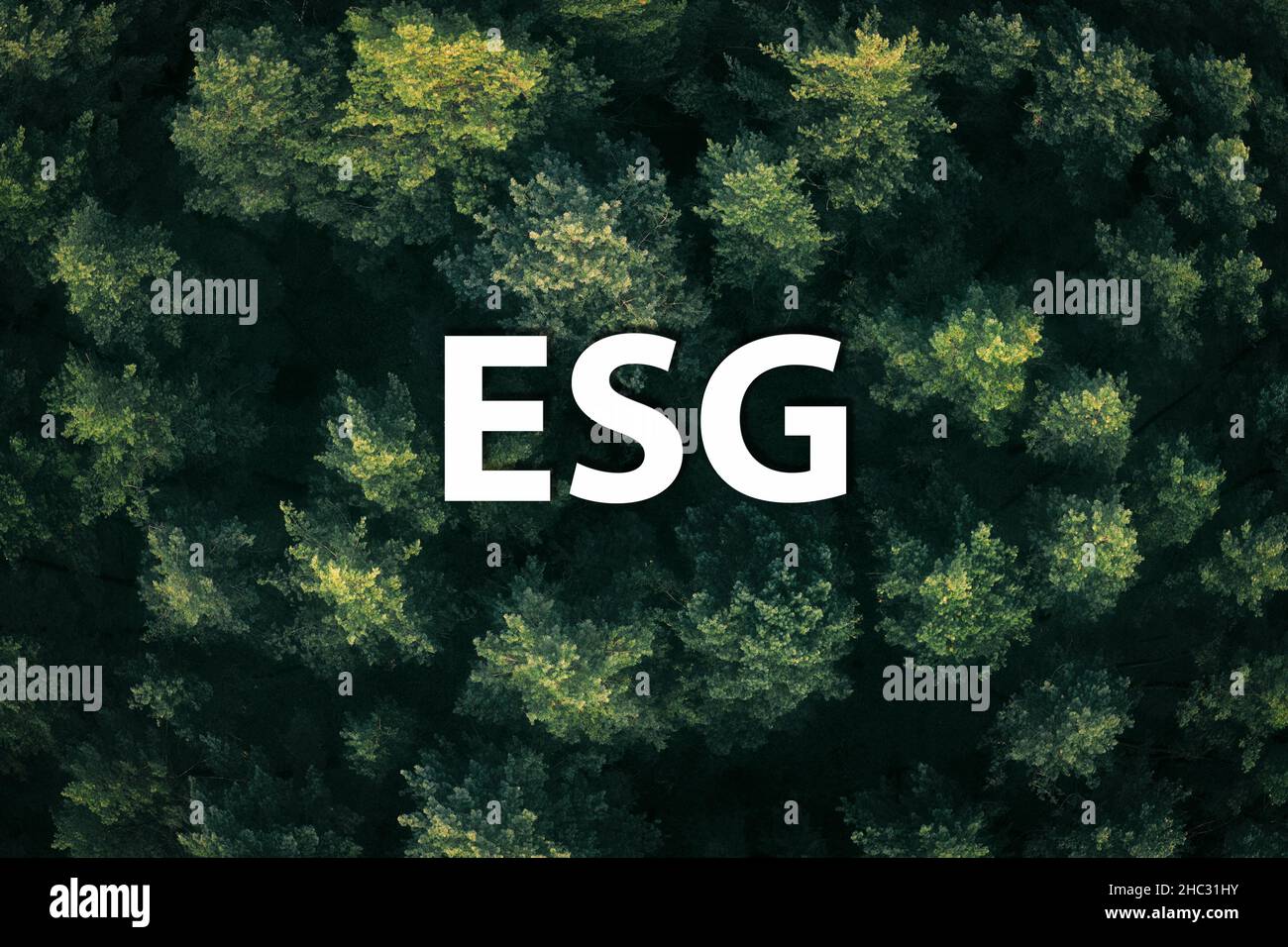 ESG Sustainable environmental conservation concept. Green Rainforest on ...