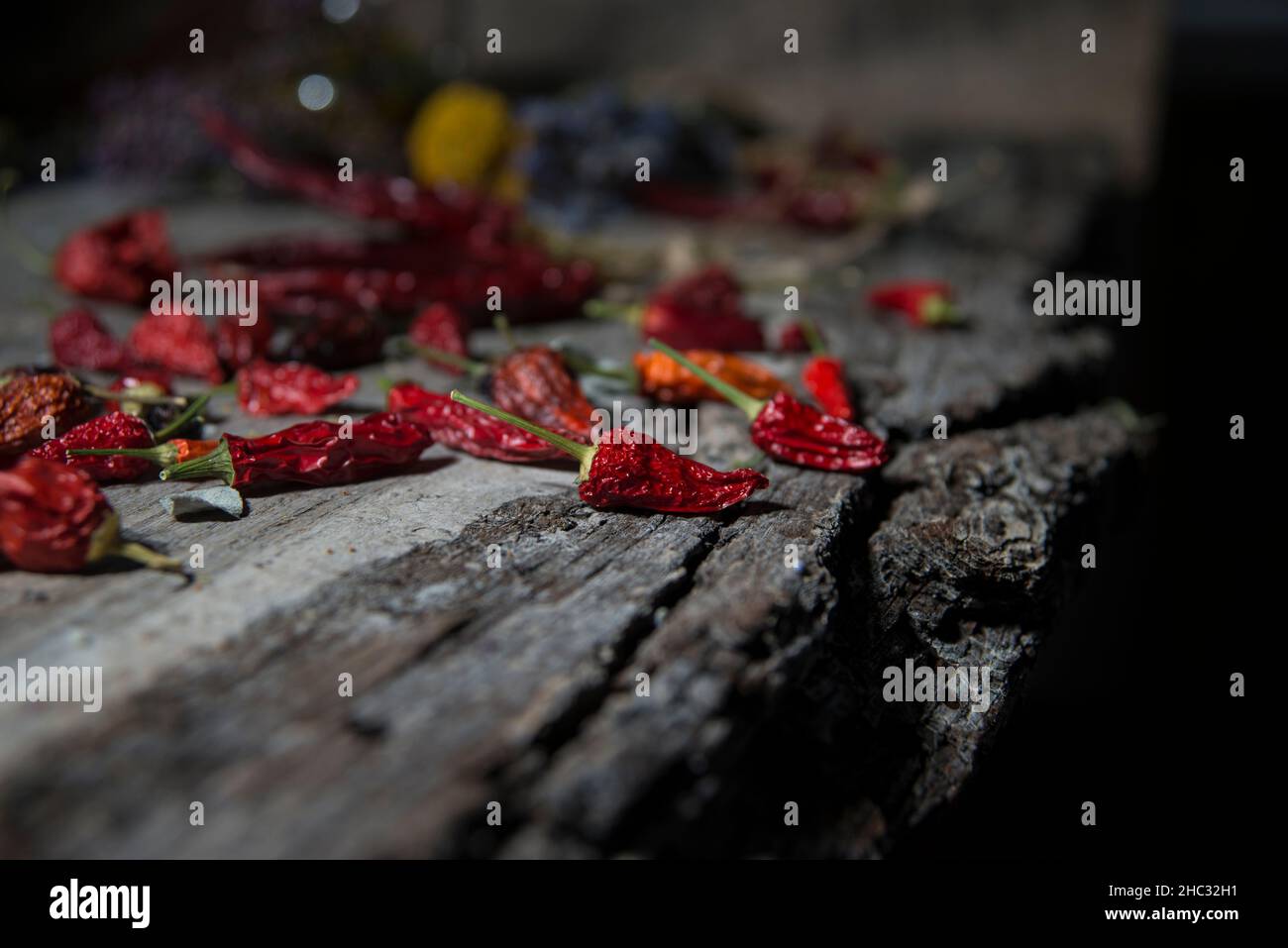 Chilli design hi-res stock photography and images - Alamy