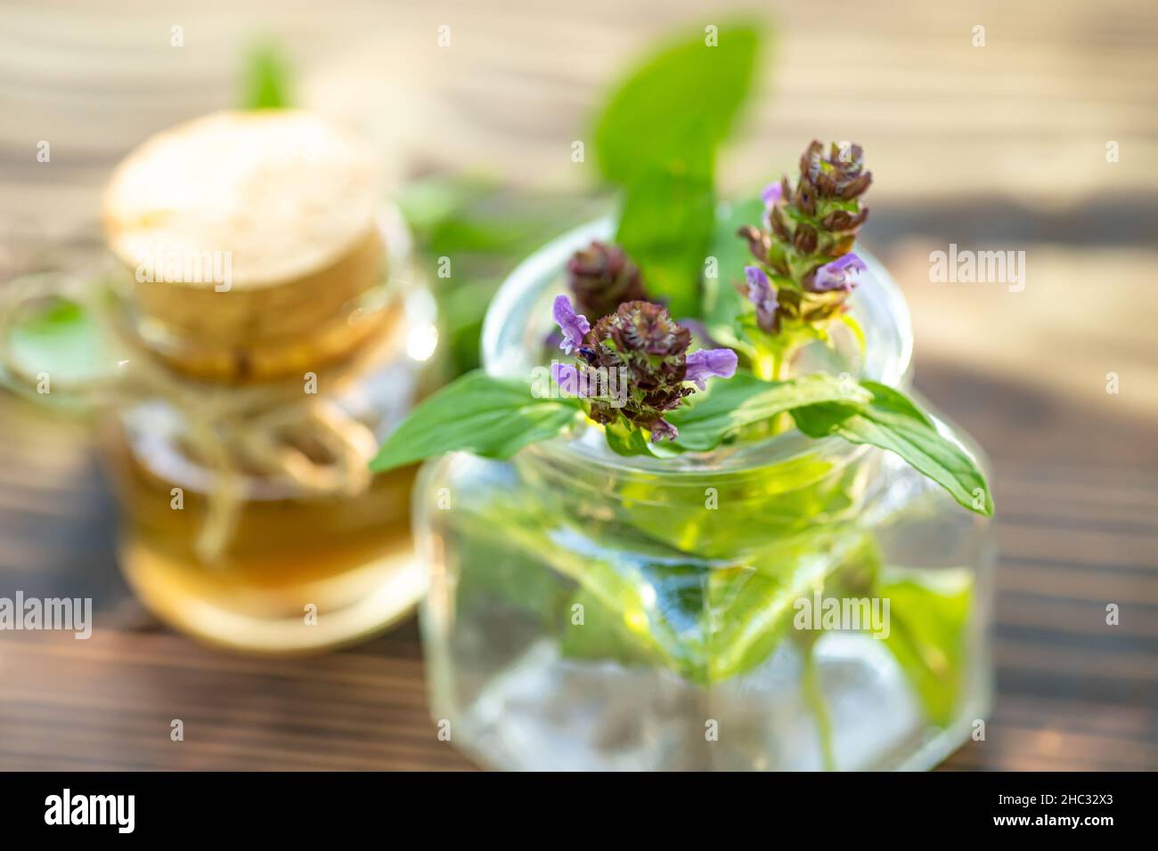 Prunella vulgaris, self-heal, carpenter's herb purple flower tincture ...