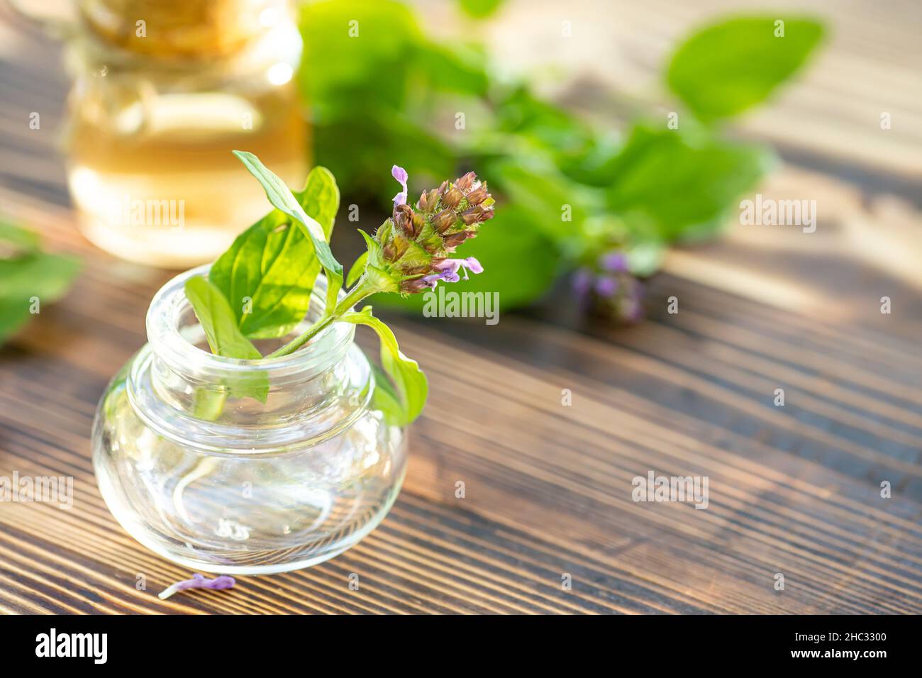 Prunella vulgaris tea hi-res stock photography and images - Alamy