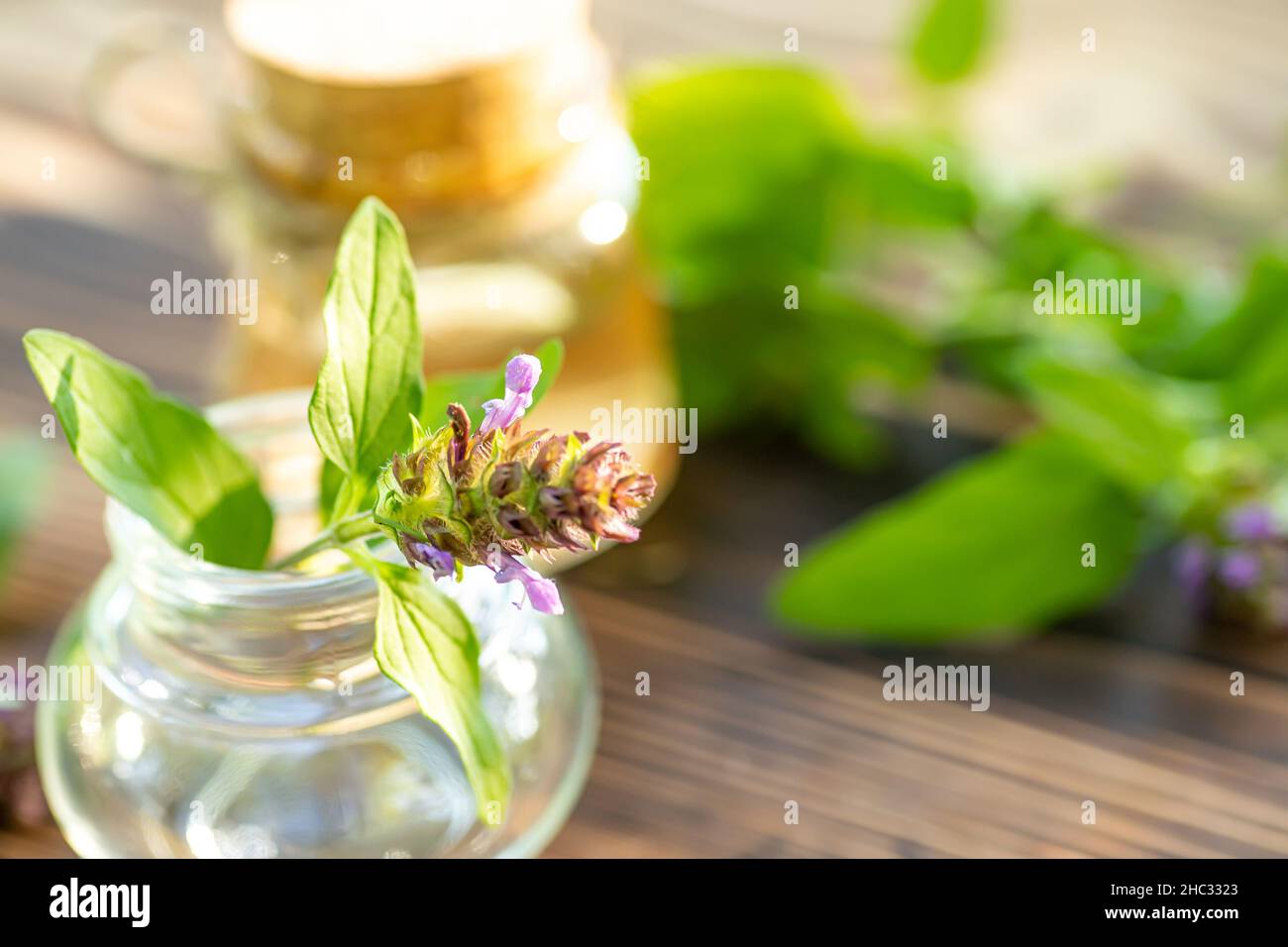 Prunella vulgaris, self-heal, carpenter's herb purple flower tincture ...