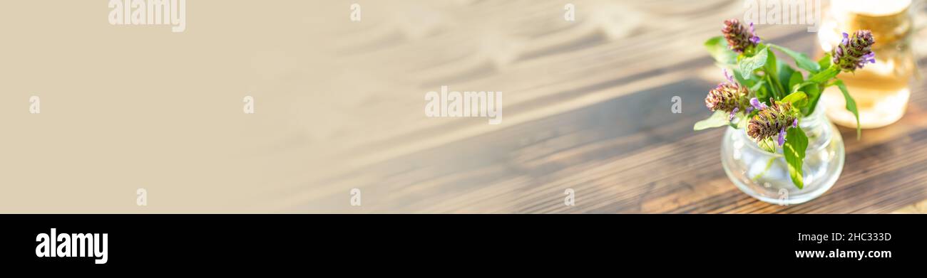 Prunella vulgaris, self-heal, carpenter's herb purple flower tincture ...