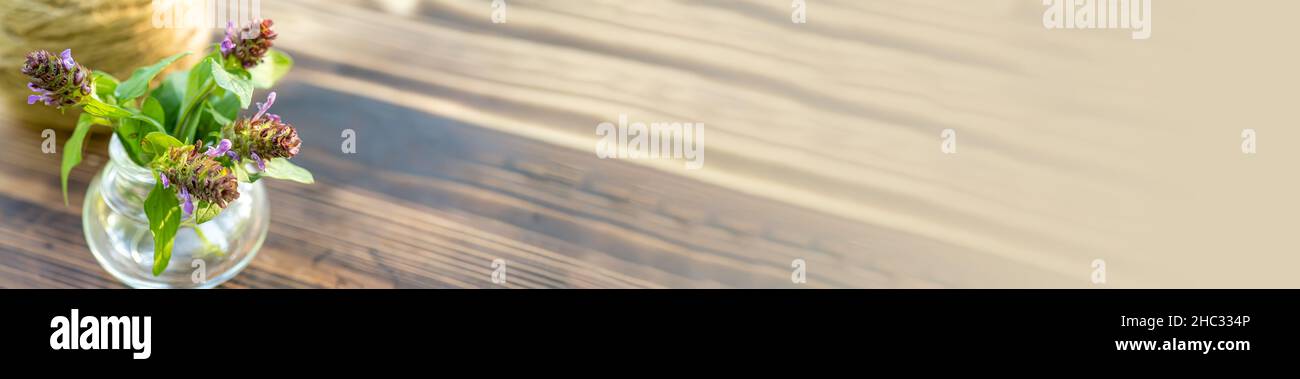 Prunella vulgaris, self-heal, carpenter's herb purple flower tincture ...