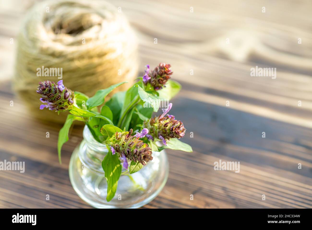 Prunella vulgaris tea hi-res stock photography and images - Alamy
