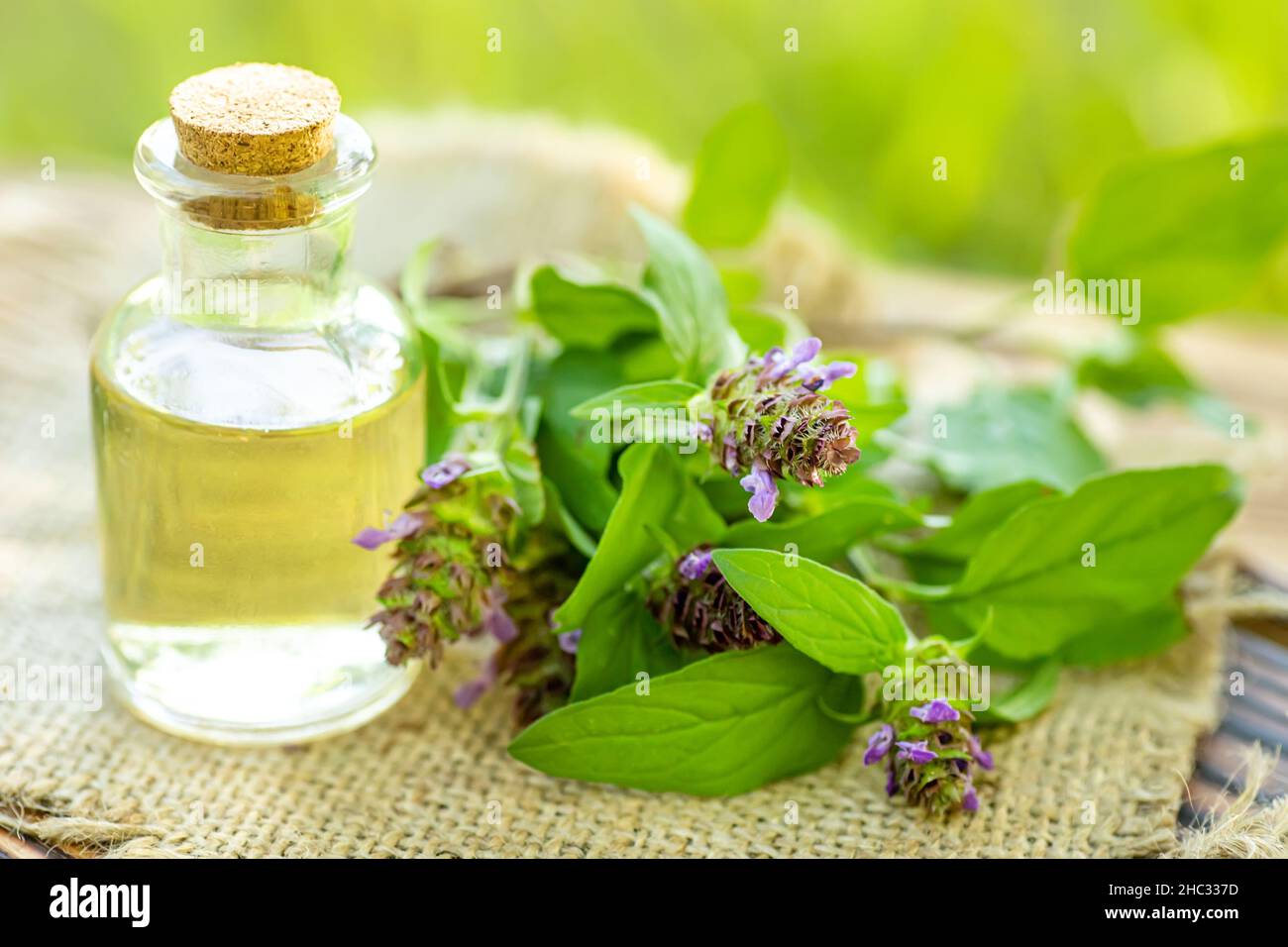 Prunella vulgaris, self-heal, carpenter's herb purple flower tincture ...