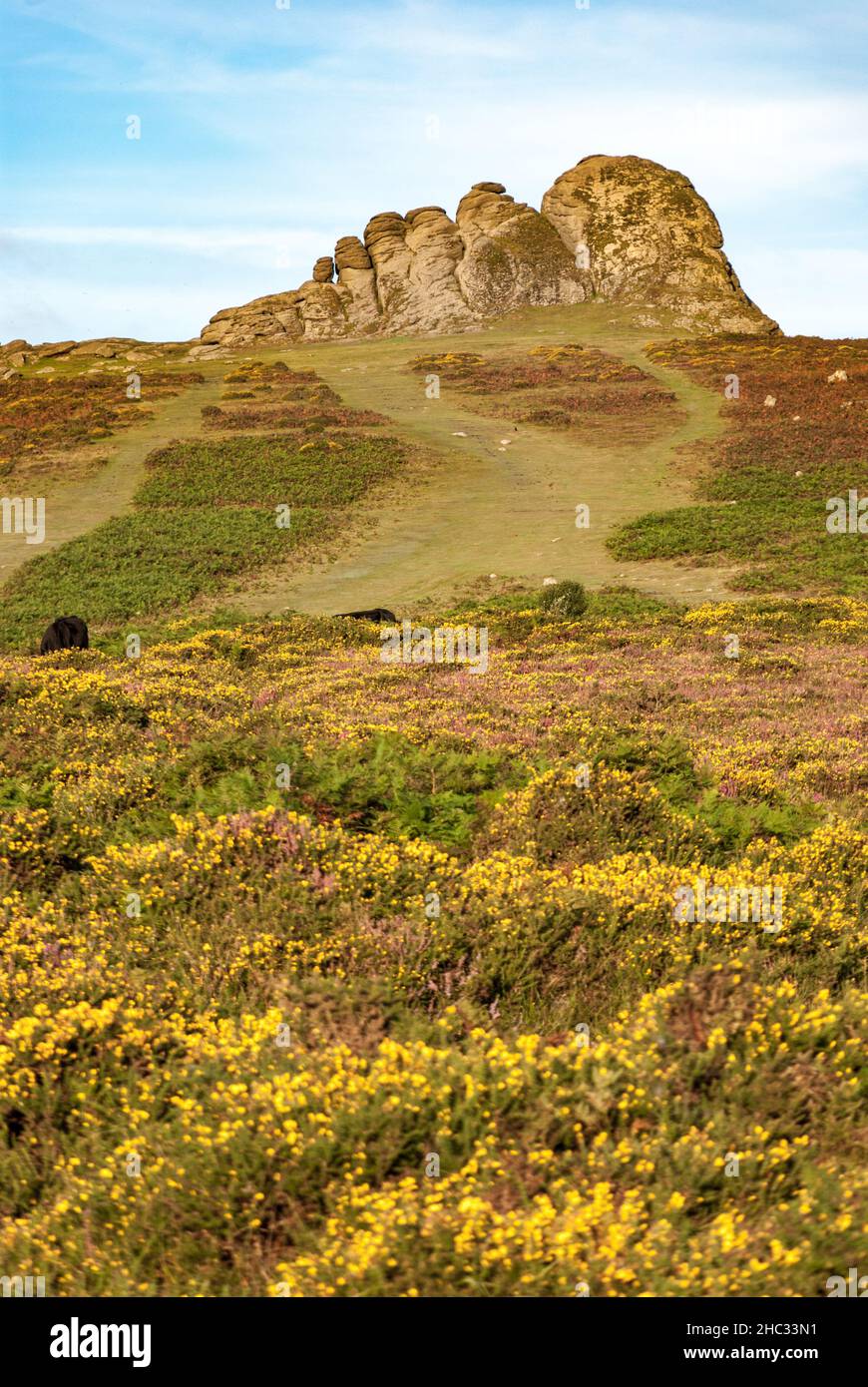 Dartmoor haytor rocks hi-res stock photography and images - Alamy