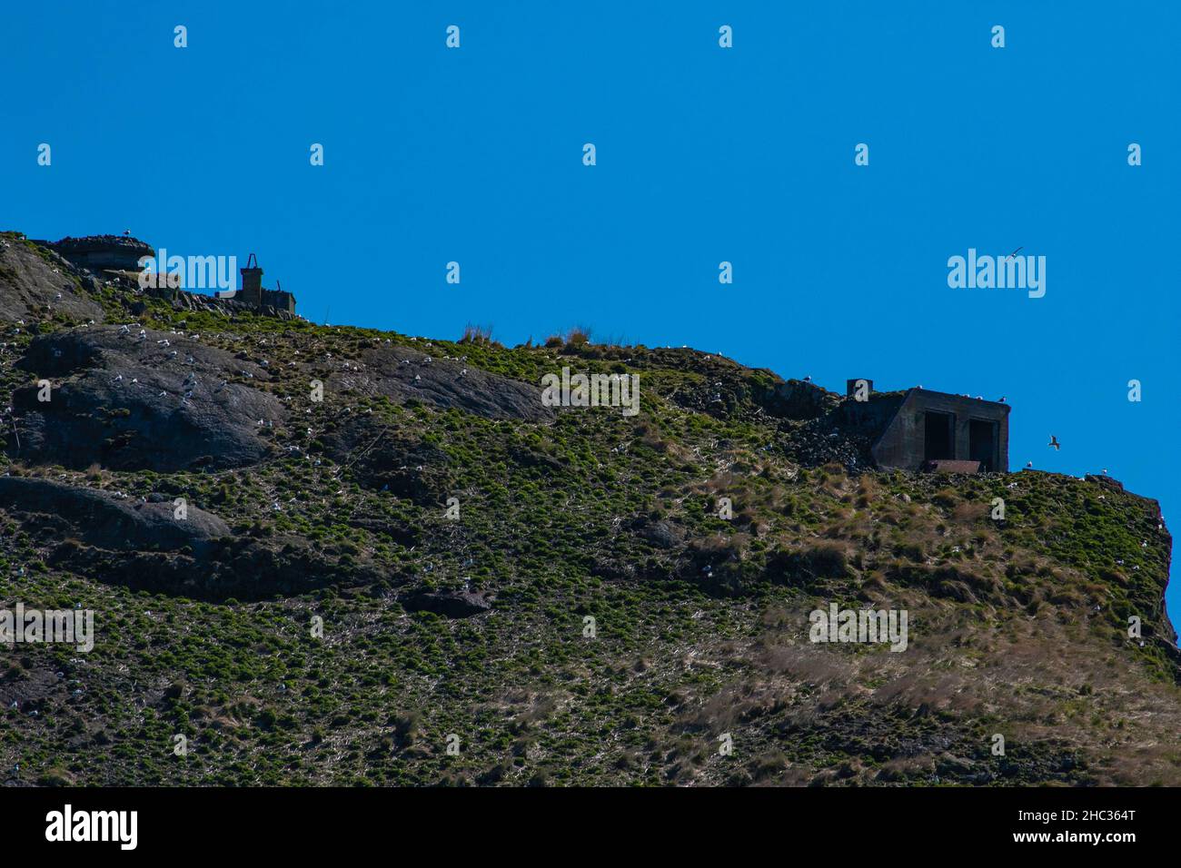 World War II observation post on a remote island in Resurrection Bay ...