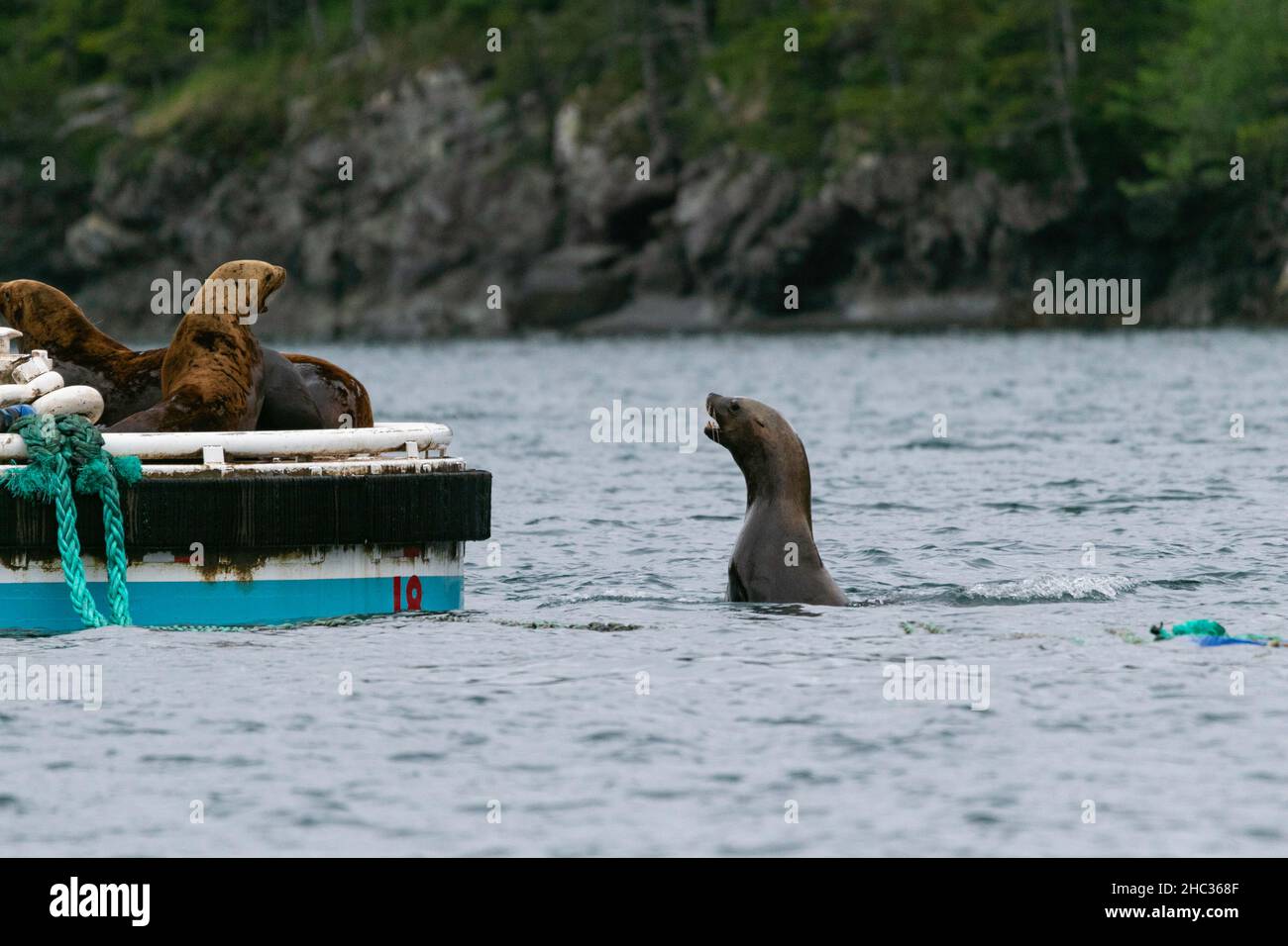 Lion wharf hi-res stock photography and images - Alamy