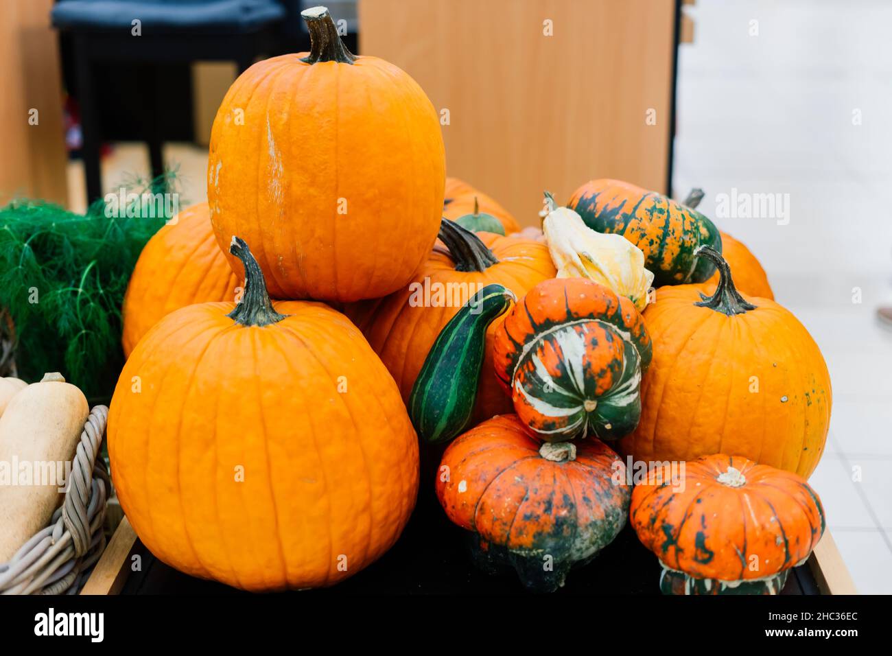Pumpkins and different vegetables in store background Stock Photo - Alamy