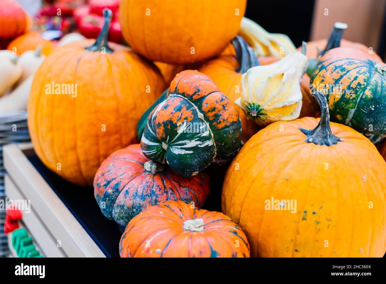 Pumpkins and different vegetables in store background Stock Photo - Alamy