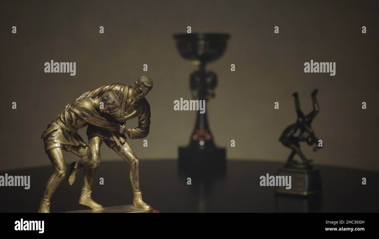 Prize cup against grey background. Hall of fame. Hall of glory. Low key ...