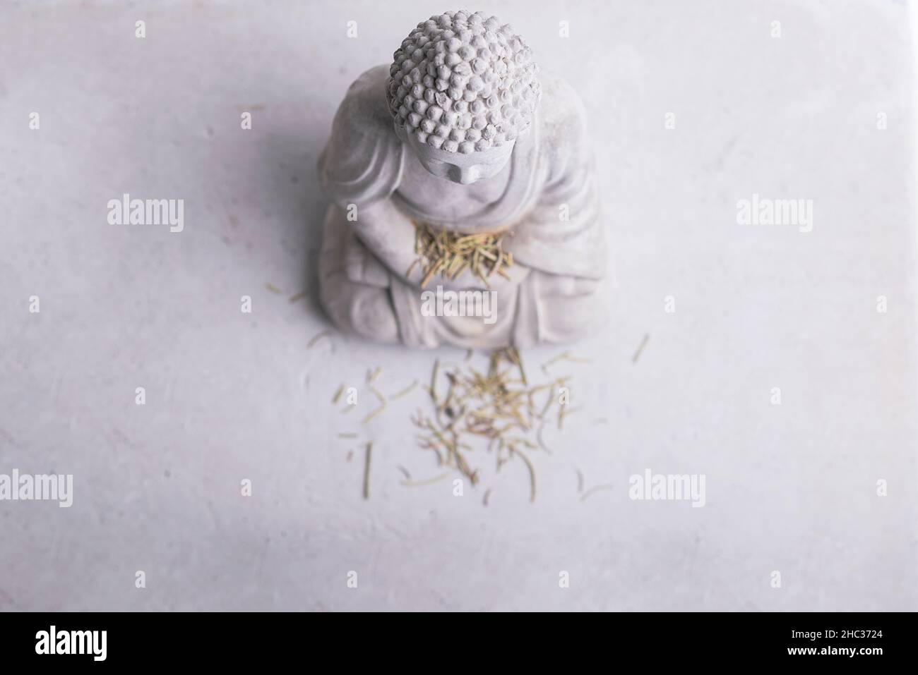 Zenith Buddha, vertical white background Stock Photo - Alamy