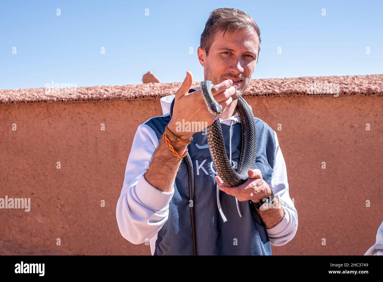 Person holding snake hi-res stock photography and images - Alamy