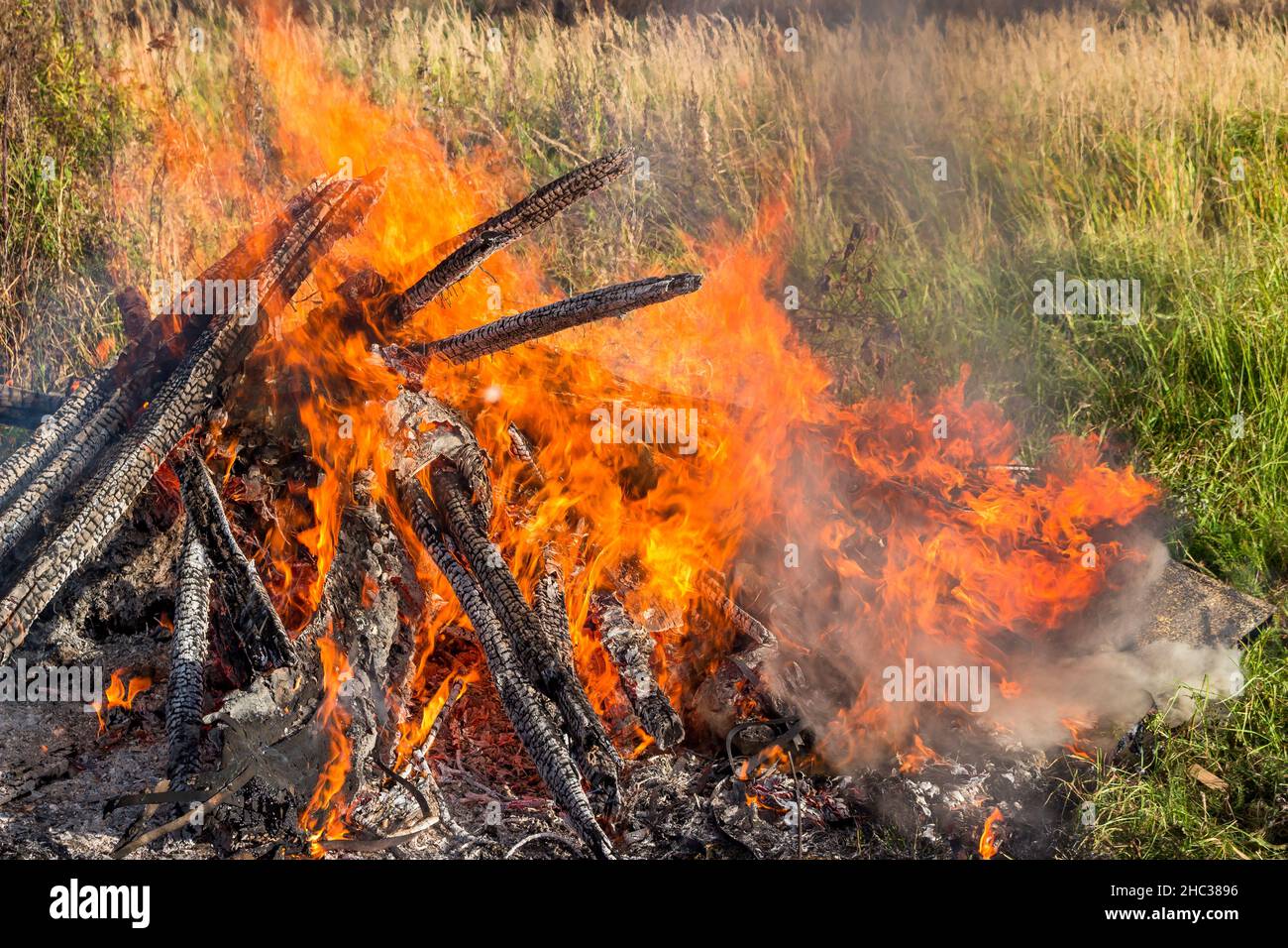 Strong bright flame of a large fire in the middle of a green field ...