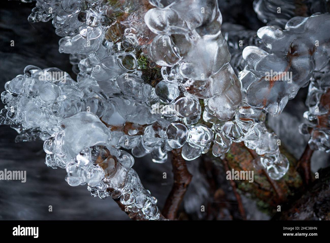 Pine-shaped ice growths at the stream in winter. Abstract ice ...