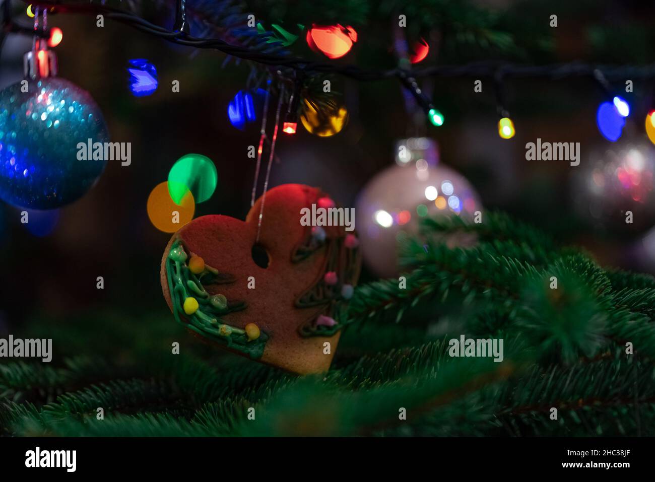 Christmas decorations hung on a natural spruce tree. Christmas balls ...