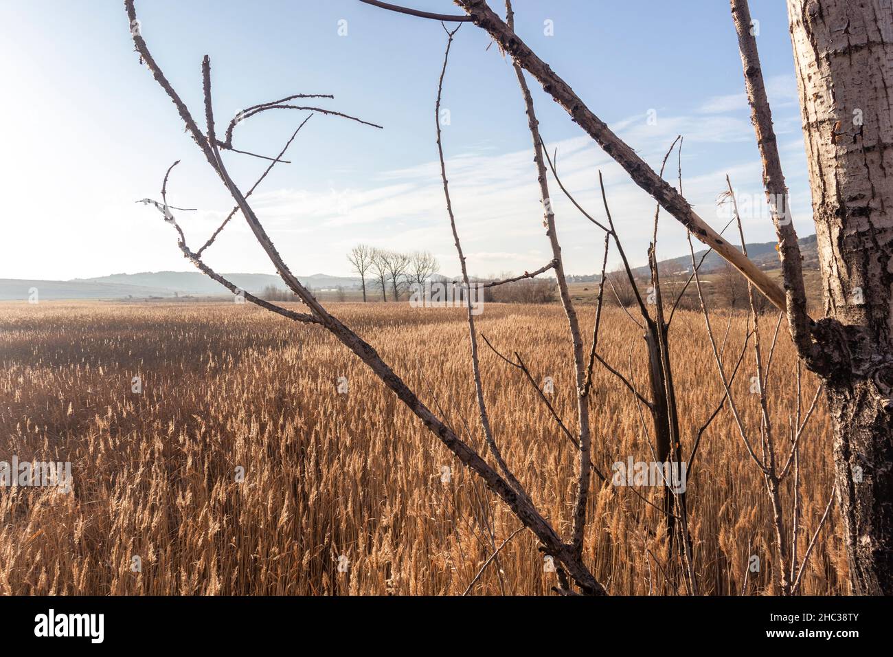 Dragoman valley hi-res stock photography and images - Alamy