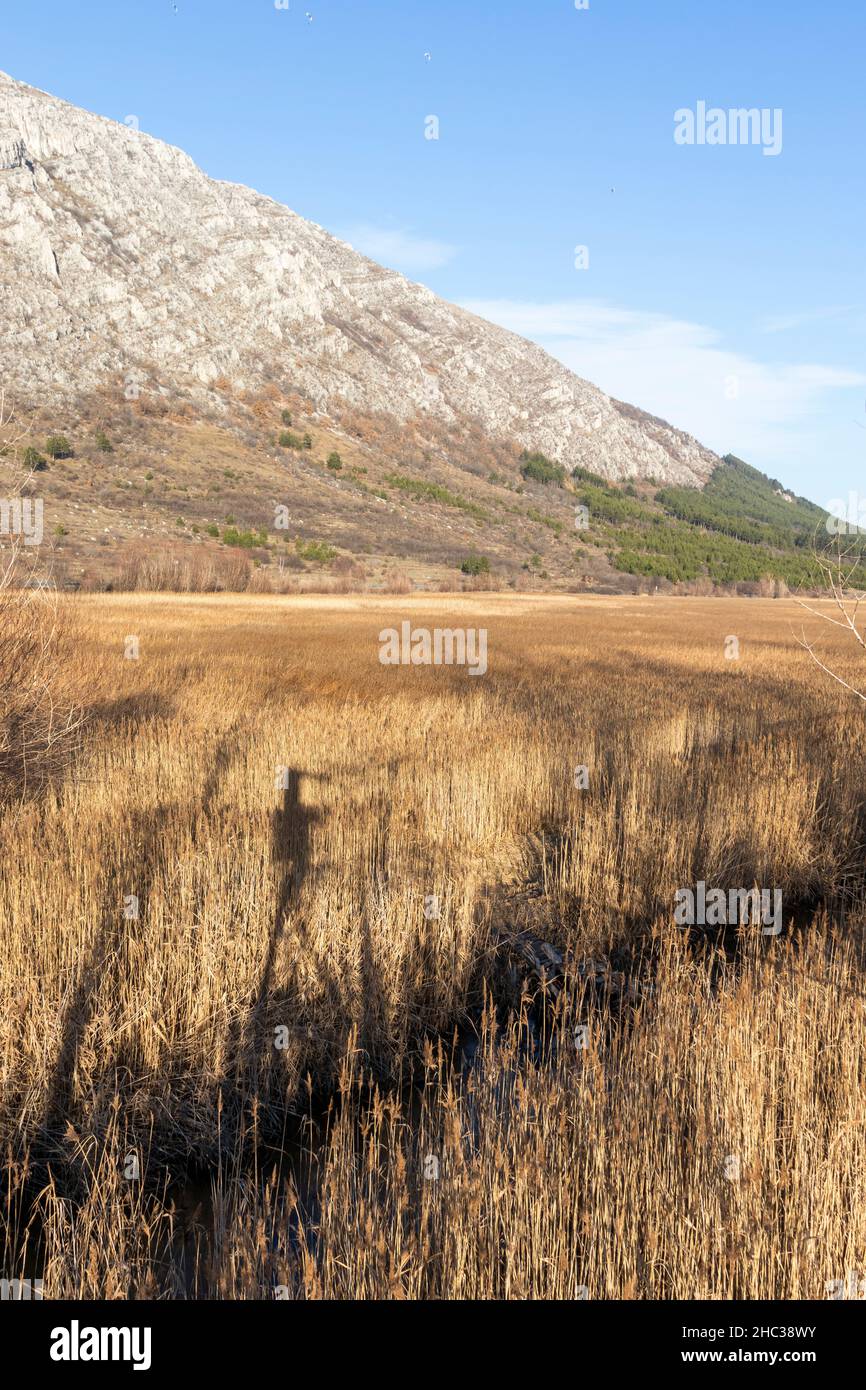 Autumn view of Dragoman marsh, Sofia region, Bulgaria Stock Photo - Alamy