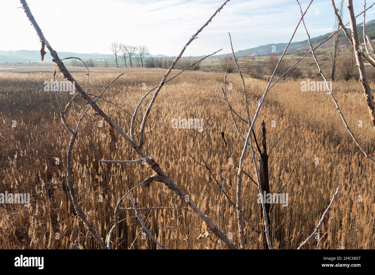 Dragoman valley hi-res stock photography and images - Alamy