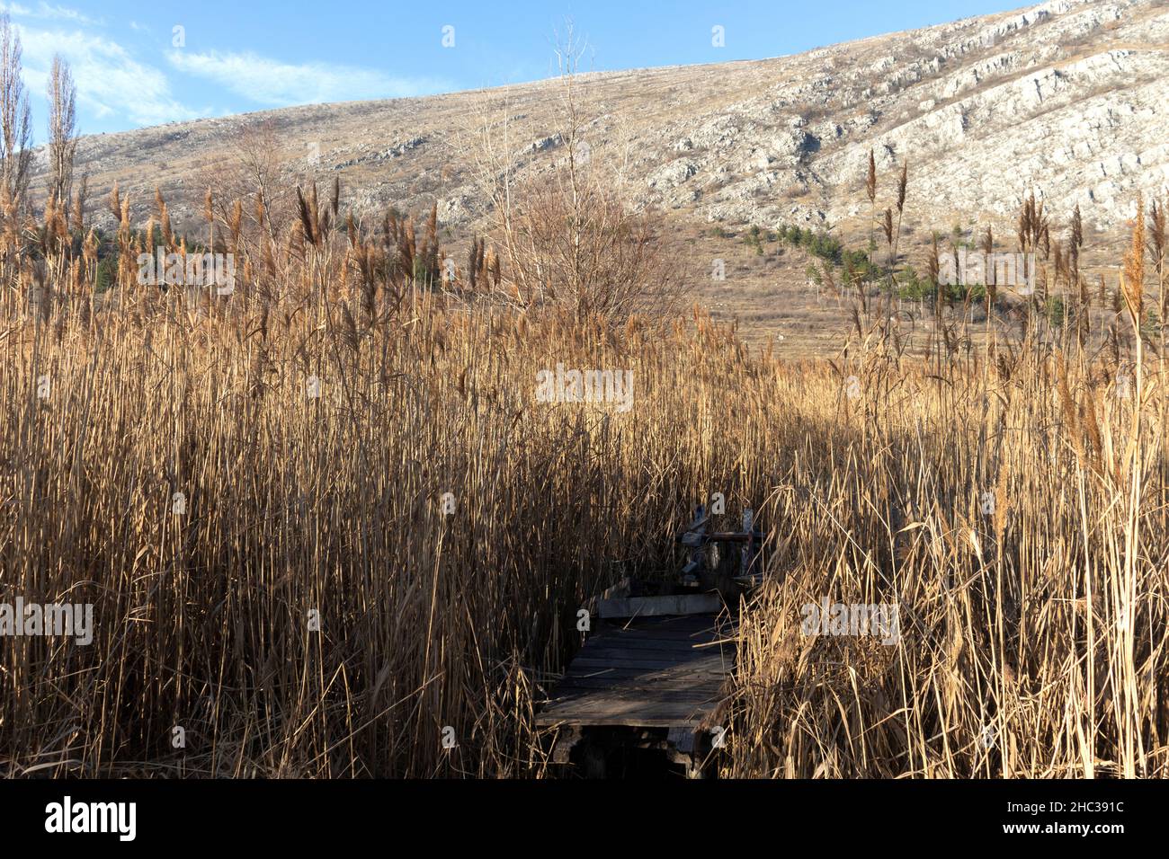 Dragoman marsh hi-res stock photography and images - Alamy