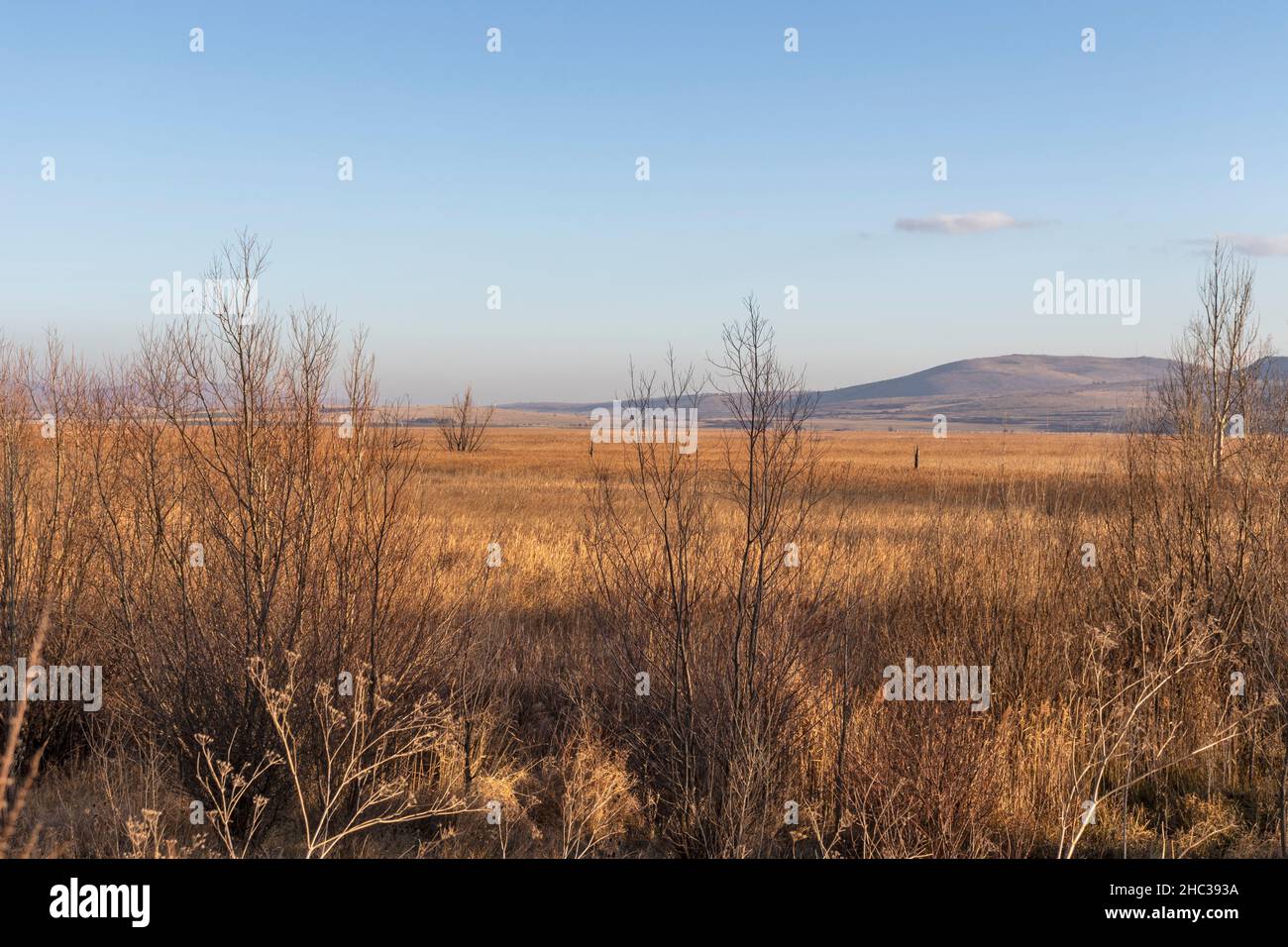 Autumn view of Dragoman marsh, Sofia region, Bulgaria Stock Photo - Alamy