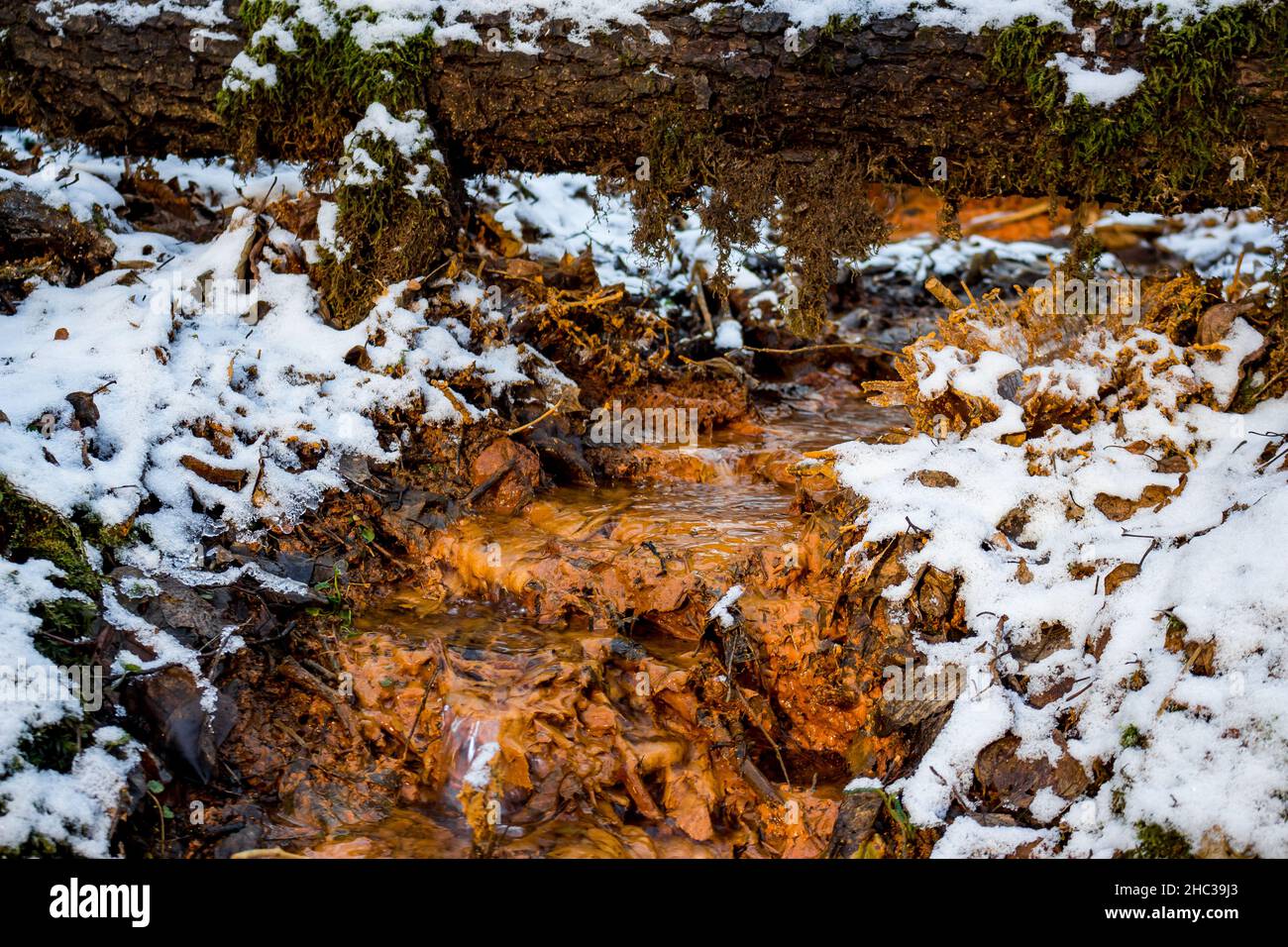 Output of mineral ferruginous springs, orange color of iron ocher ...