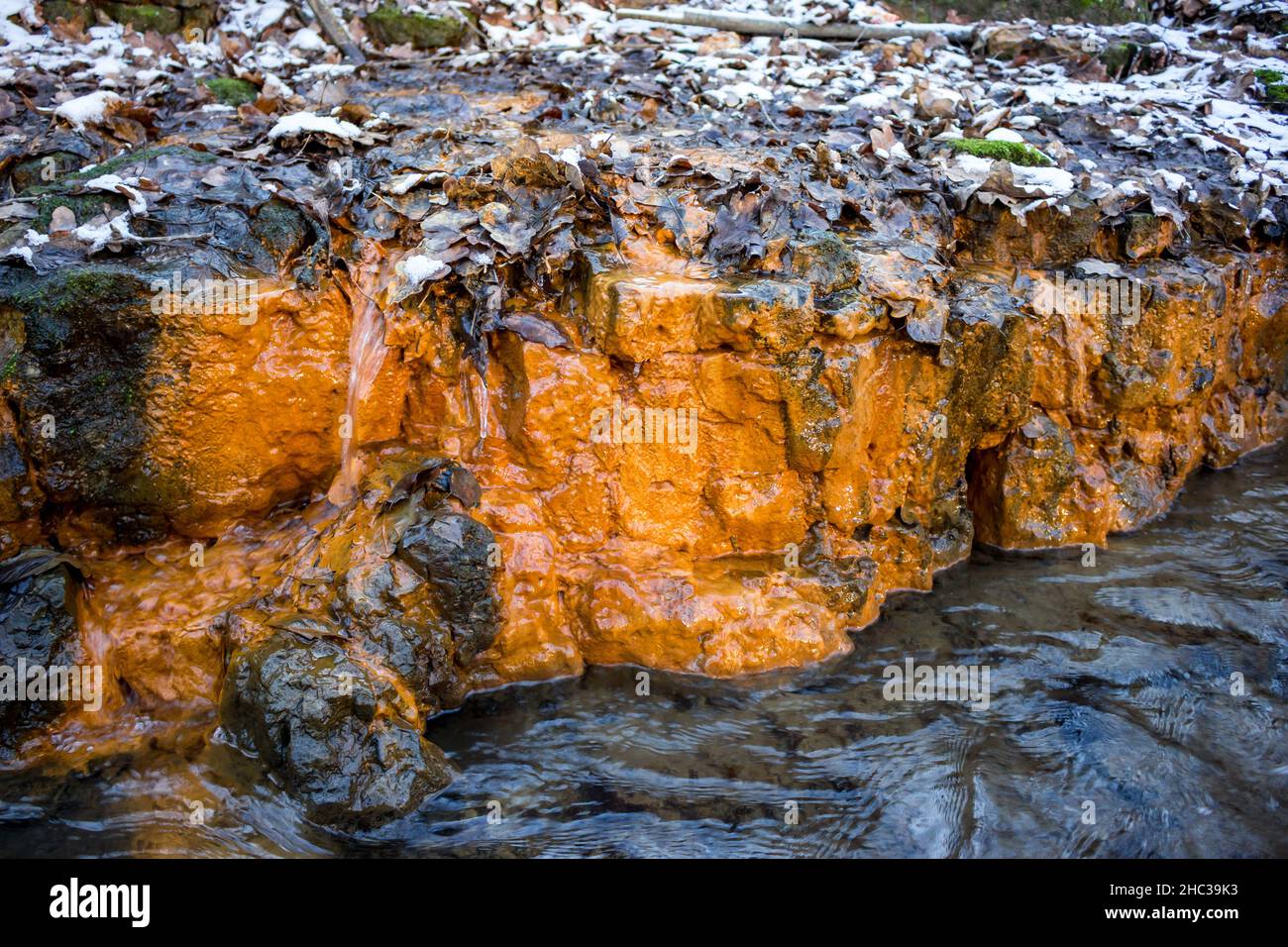 A limestone layer on the river, colored orange with iron ocher ...