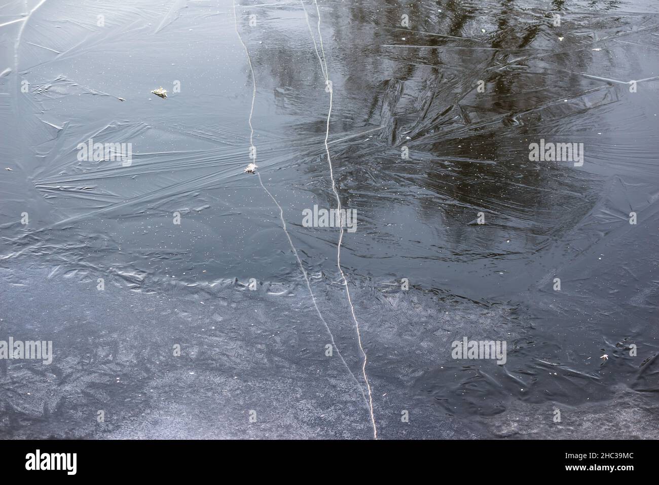 Fresh thin ice on the pond. The beginning of ice formation on the river ...