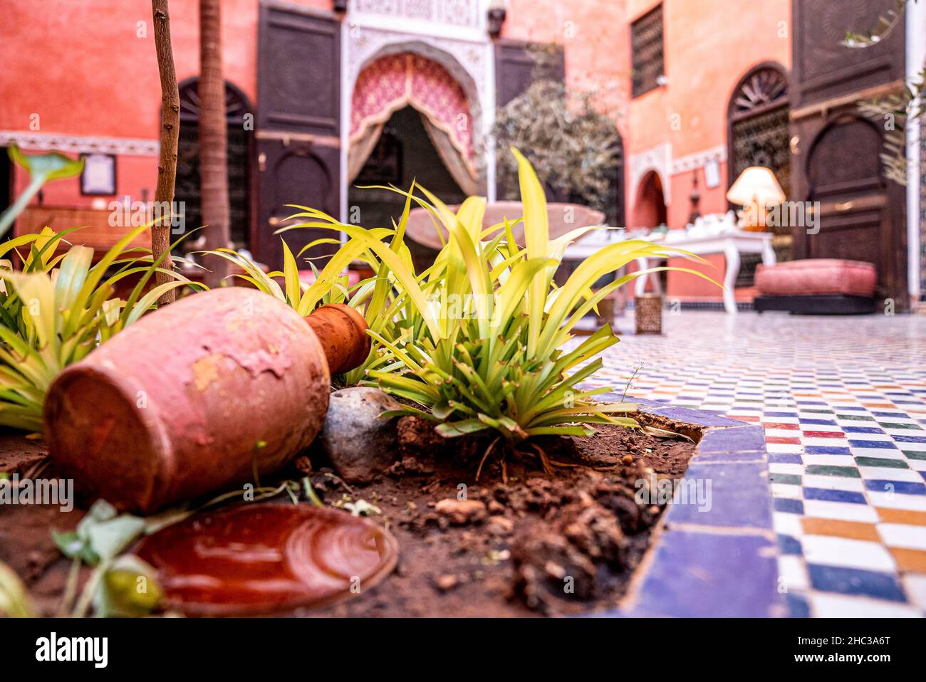 Fallen earthen pot or vase amidst plant in front or back yard Stock ...