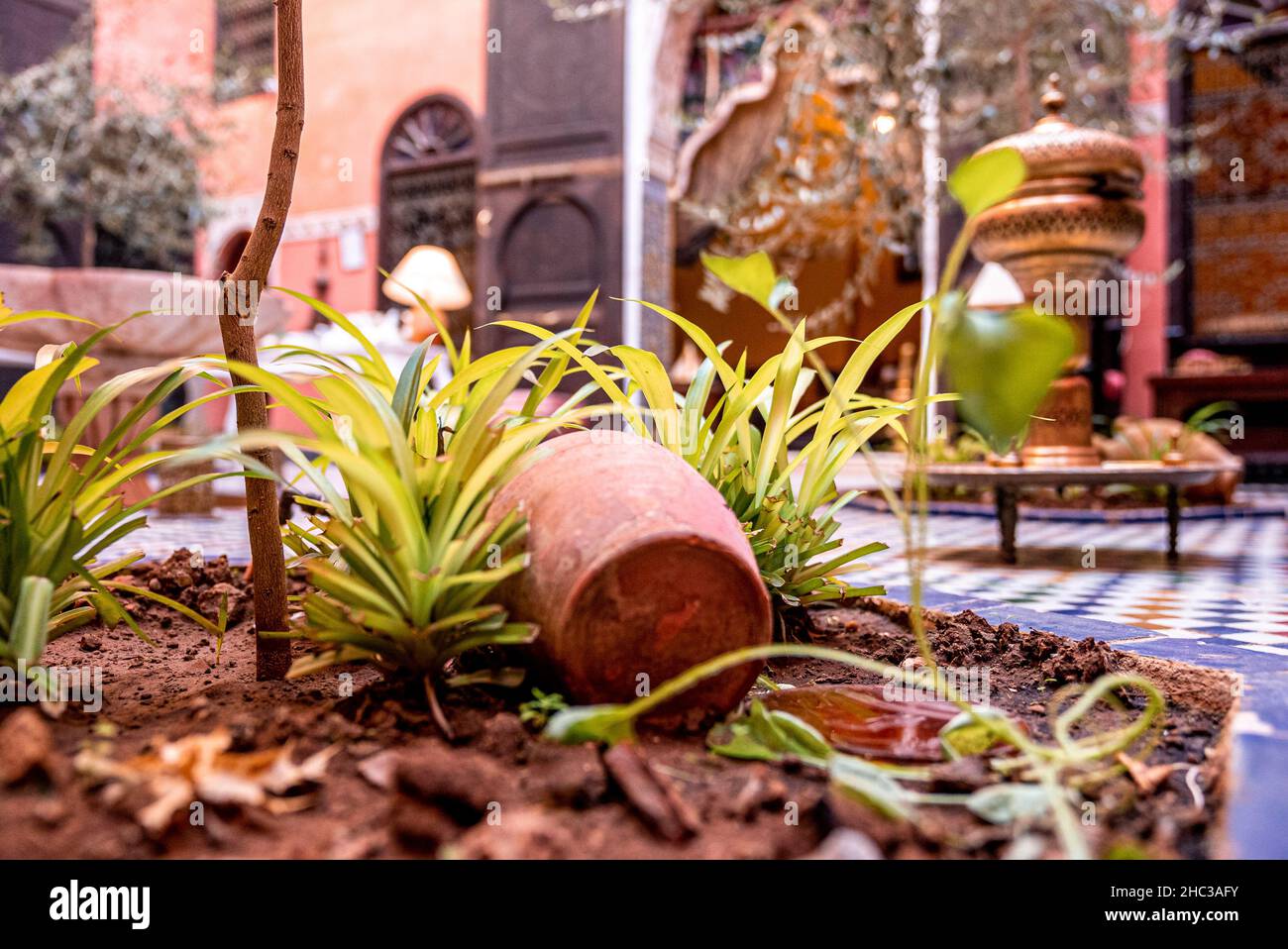 Fallen earthen pot or vase amidst plant in front or back yard Stock ...