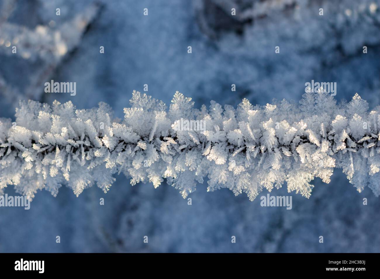 Large beautiful growths of crystalline frost on the grass. Frosty ...