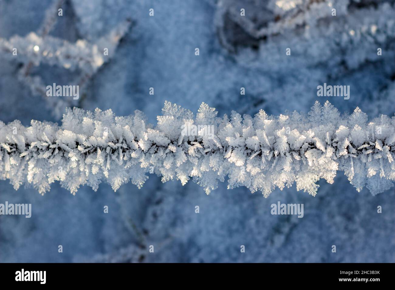 Large beautiful growths of crystalline frost on the grass. Frosty ...