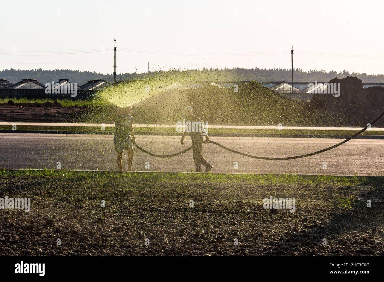 Hydroseeding a liquid lawn by spraying the mixture from a hose Stock ...