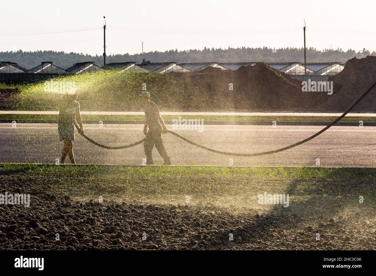 Hydroseeding a liquid lawn by spraying the mixture from a hose Stock ...