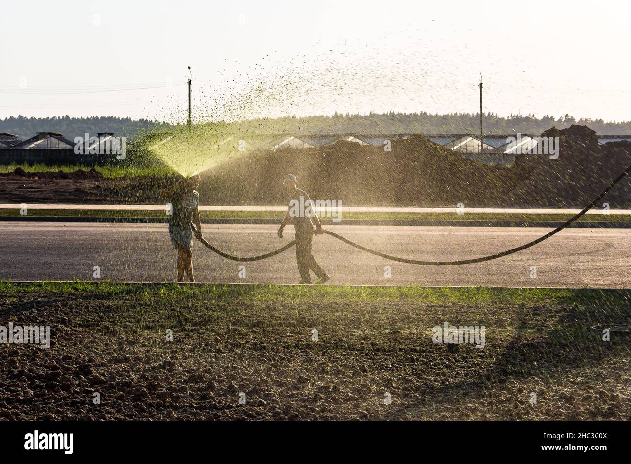 Hydroseeding a liquid lawn by spraying the mixture from a hose Stock ...