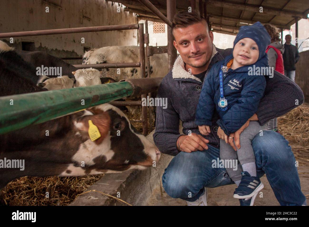 Three cows together hi-res stock photography and images - Alamy