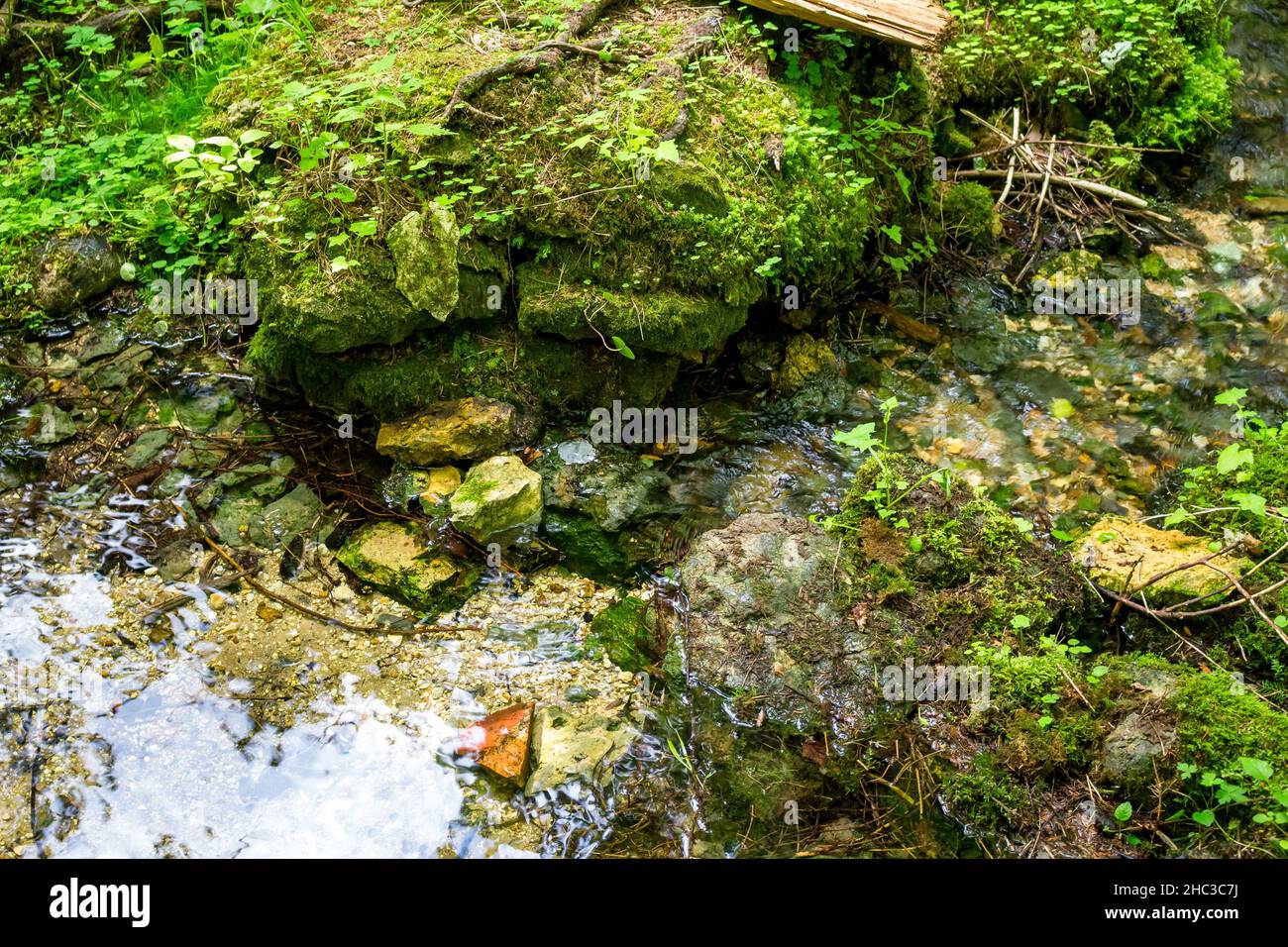 Stream flowing between stony limestone rocks in the forest Stock Photo ...