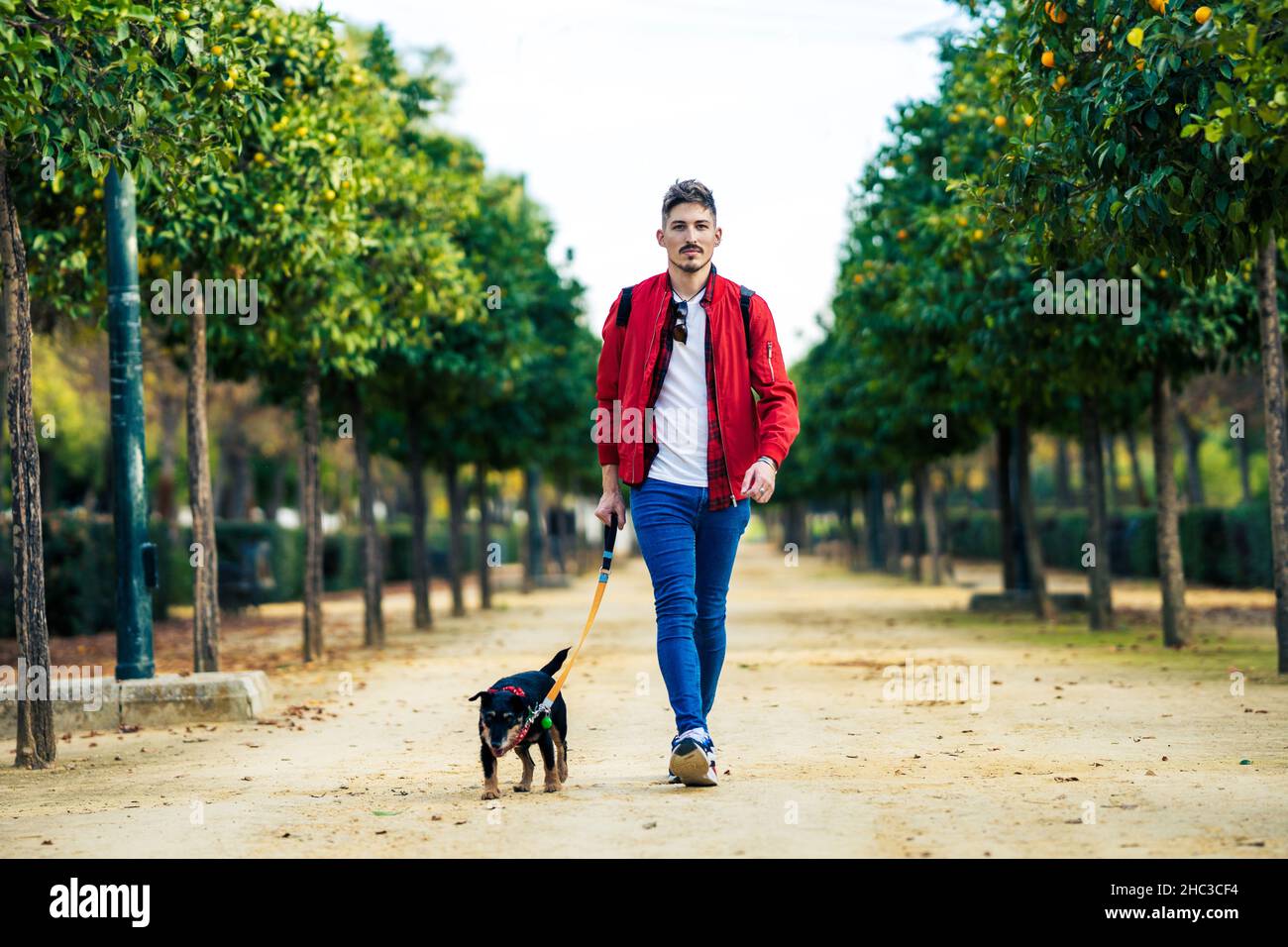 Man walking the dog through a sandy path of a park Stock Photo - Alamy